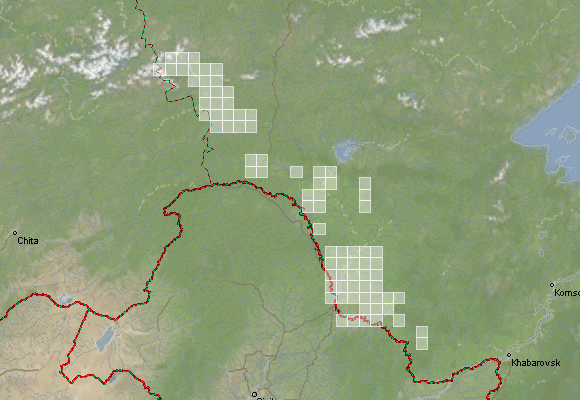 Download Amur region topographic maps - mapstor.com