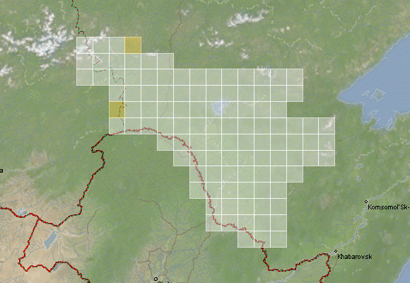 Download Amur region topographic maps - mapstor.com