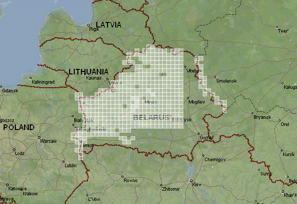Download Belarus topographic maps - mapstor.com