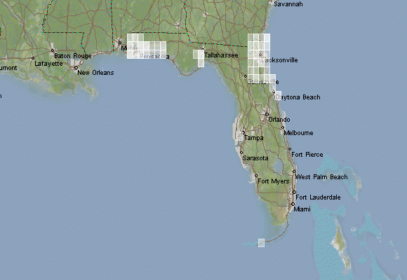 USGS topo maps of Florida for download - mapstor.com