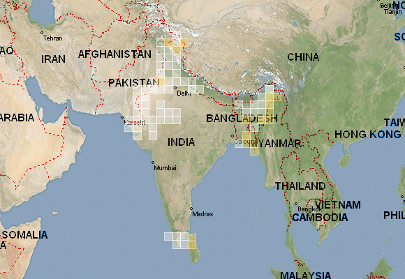 Download India topographic maps - mapstor.com