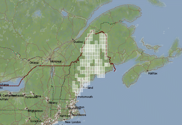 USGS topo maps of Maine for download - mapstor.com