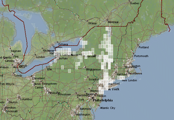 USGS topo maps of New York for download - mapstor.com