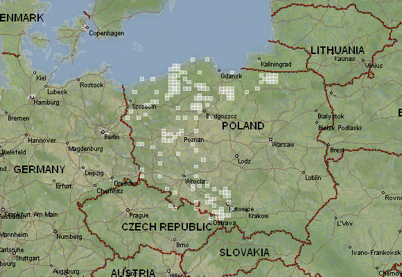 Download Poland topographic maps - mapstor.com