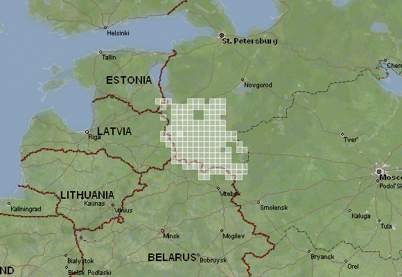 Download Pskov oblast topographic maps - mapstor.com