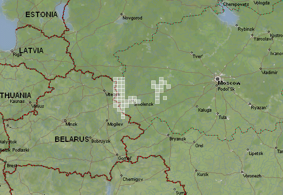 Download Smolensk oblast topographic maps - mapstor.com